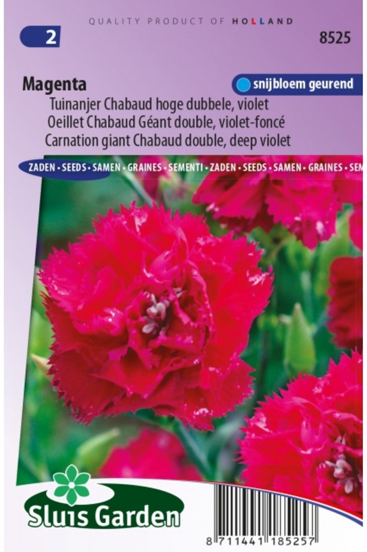 Anjer Magenta - Dianthus Chabaud kopen? Online zaden bestellen bij ...